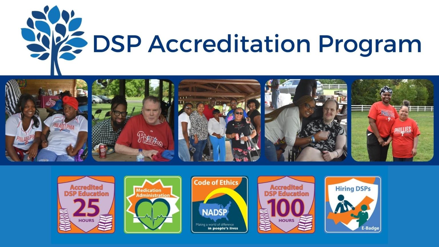 DSP Accreditation Program